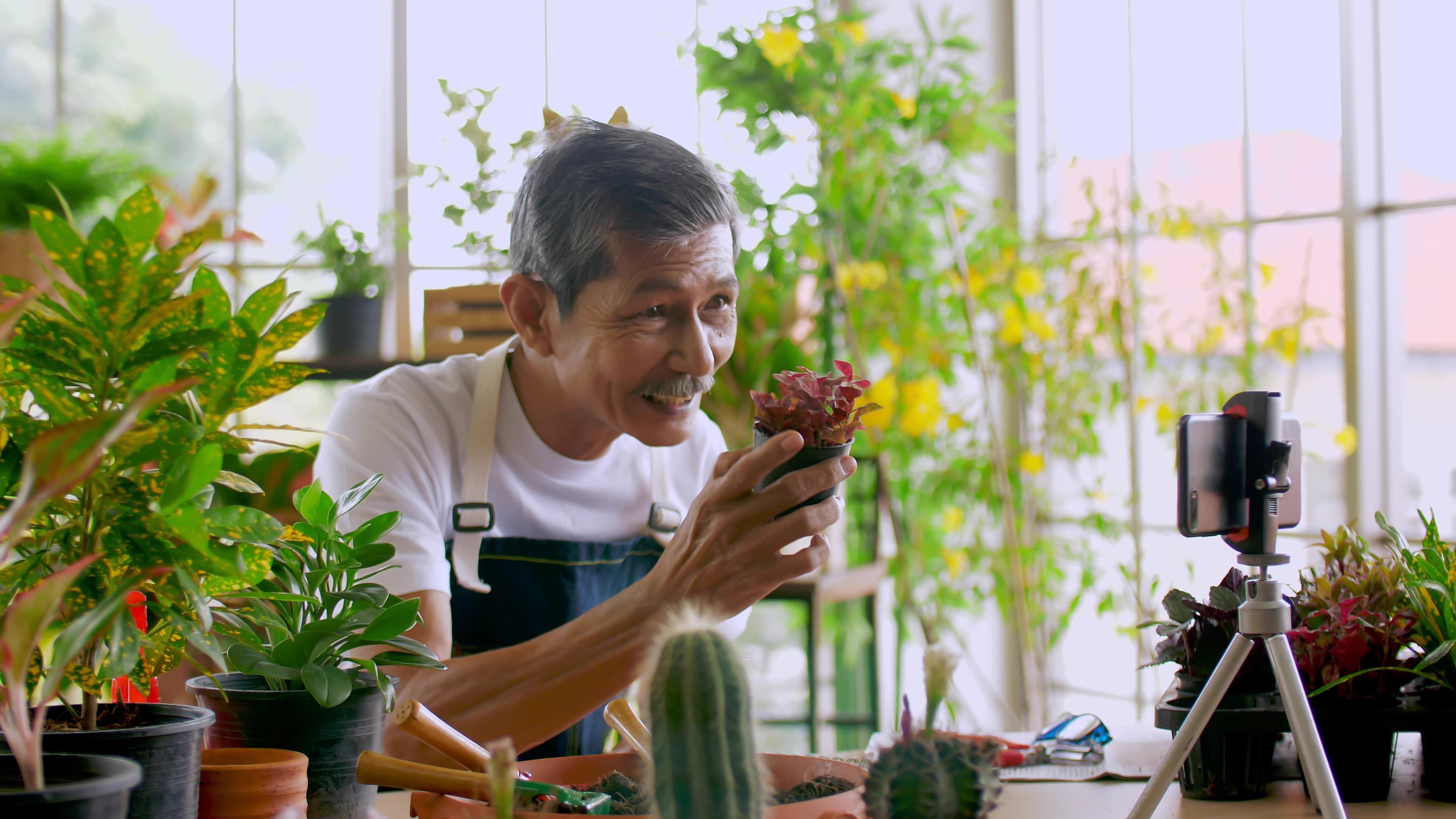 Live Selling – The best way to sell to Gen-Z